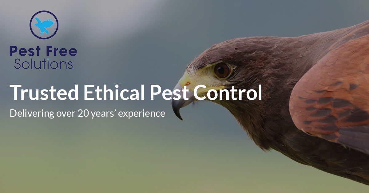 Bird & Pest Control Services | Ethical & Effective | Pest Free Solutions